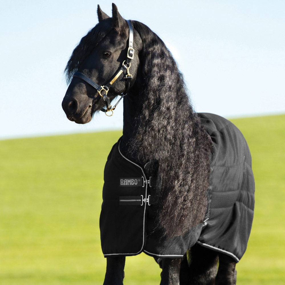 Horseware Rambo Stable 200g | HorSeven