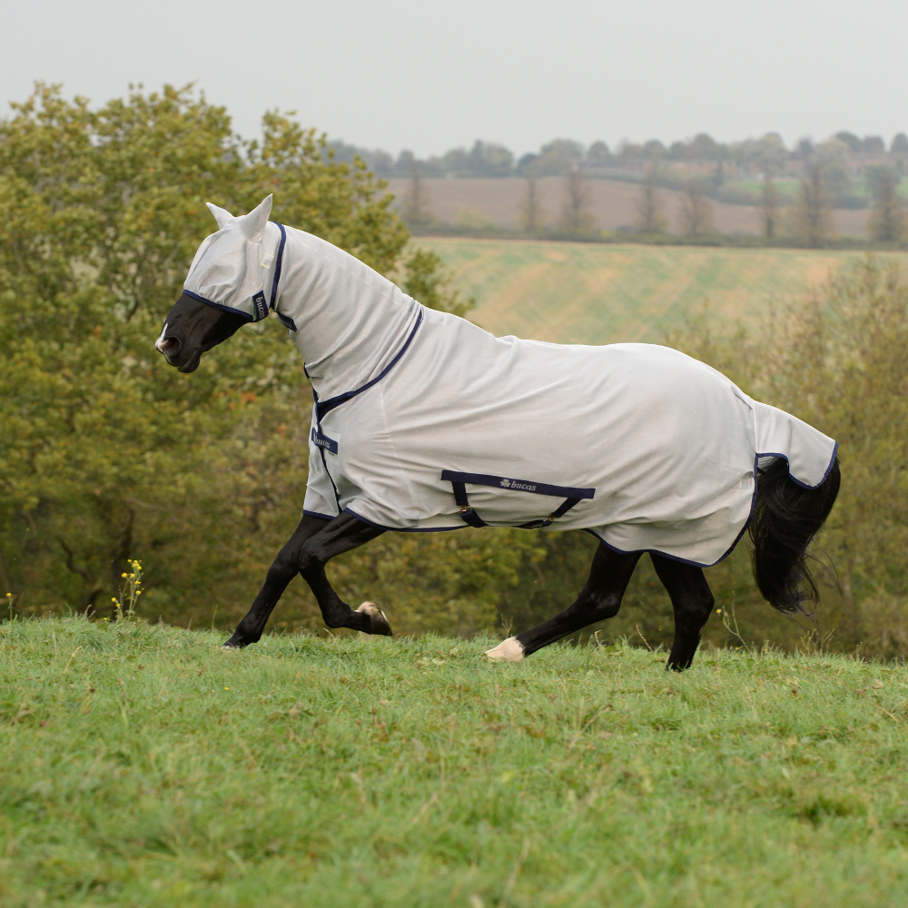 Bucas Freedom Fly Sheet Full Neck PONY - Argent | HorSeven